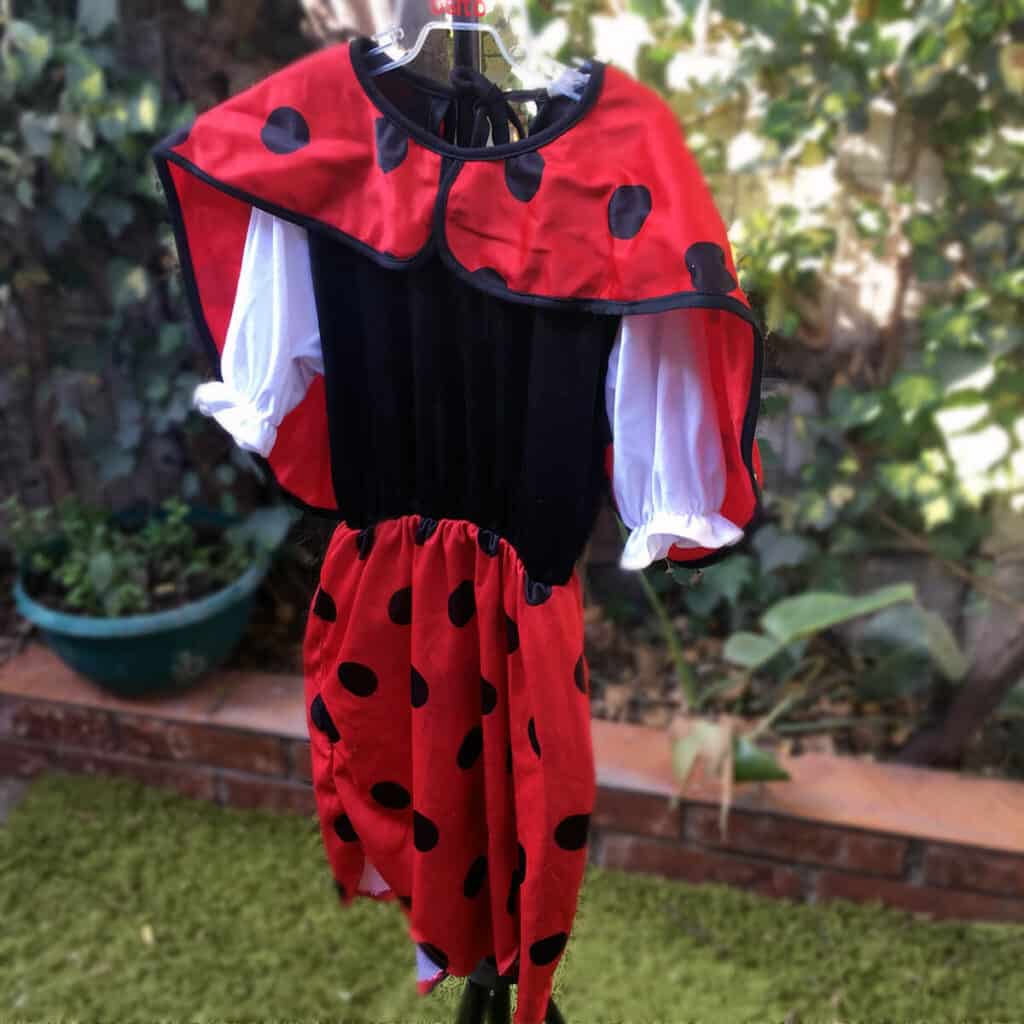 Vestido chinita con alas • Talla: 4-6 • Disfraces y Juguetes